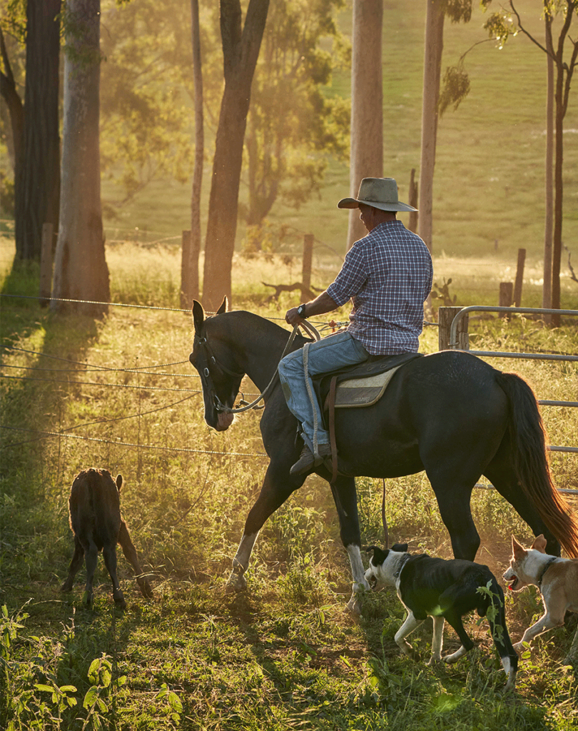 Introduction to carbon farming - GreenCollar