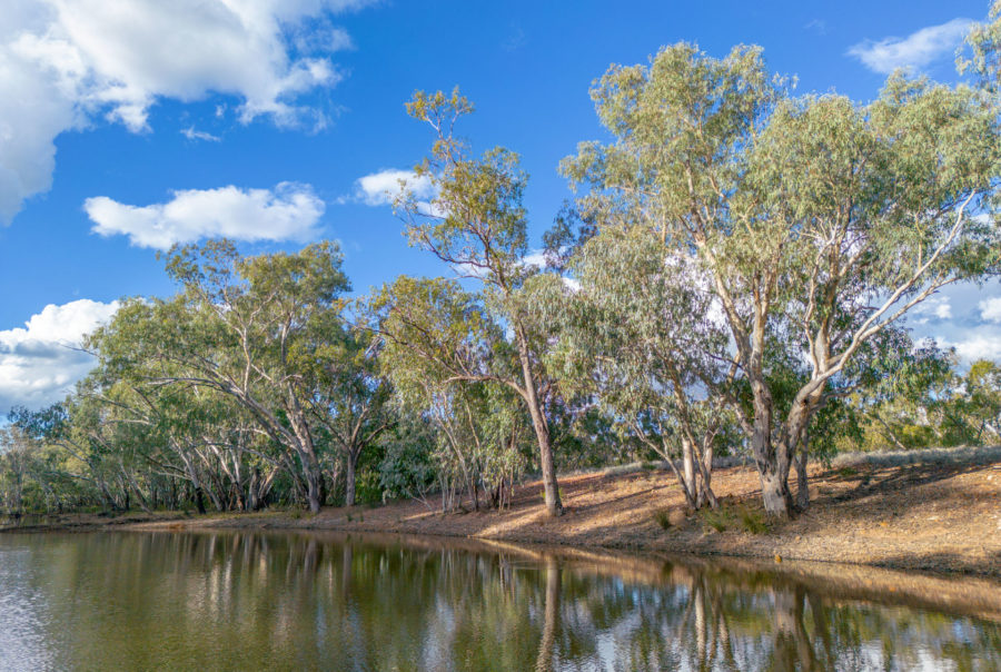 Maranoa Ecosystem Conservation Project #2 - GreenCollar