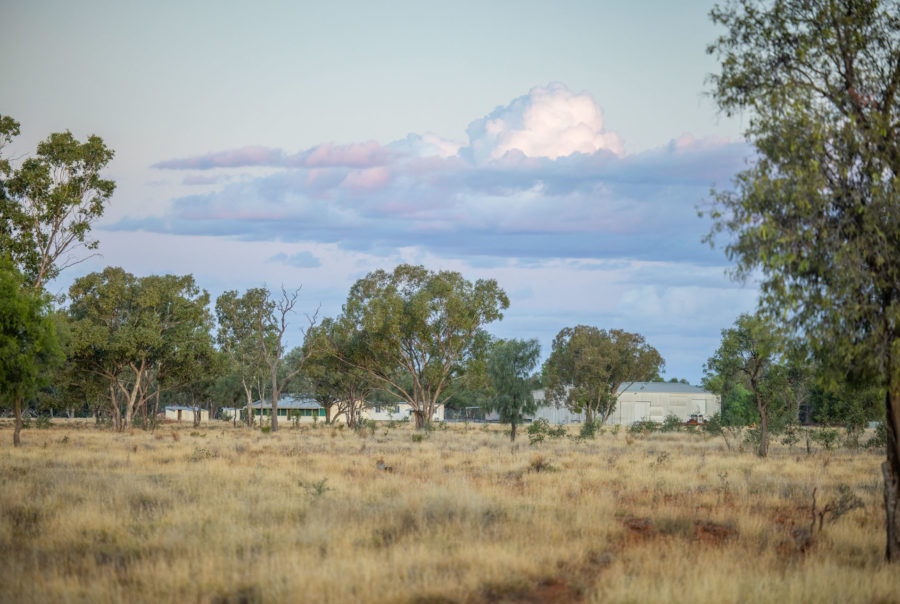 Maranoa Ecosystem Conservation Project #2 - GreenCollar